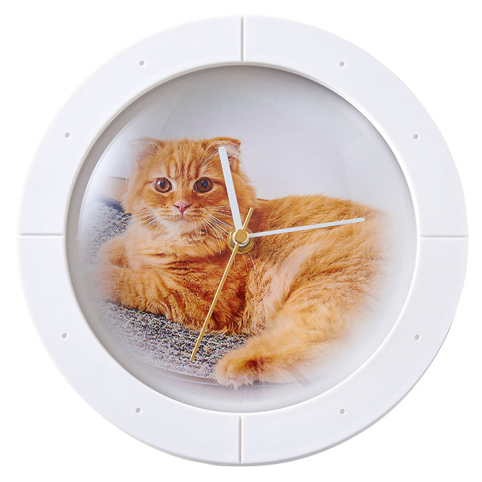 ペットのオーナー雑貨の一覧はこちら – OFT STORE